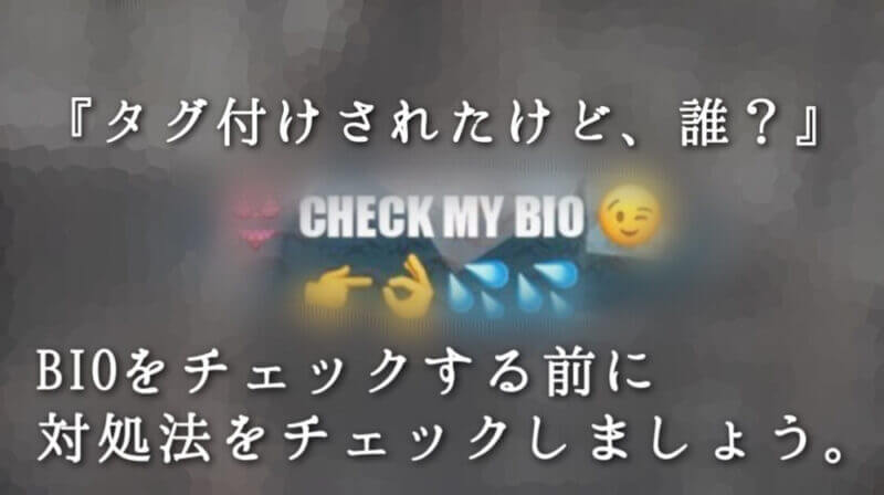 インスタグラム｜CHECK MY BIOの意味とタグ付け削除方法まとめ｜福岡のタレント・ハル公式サイト